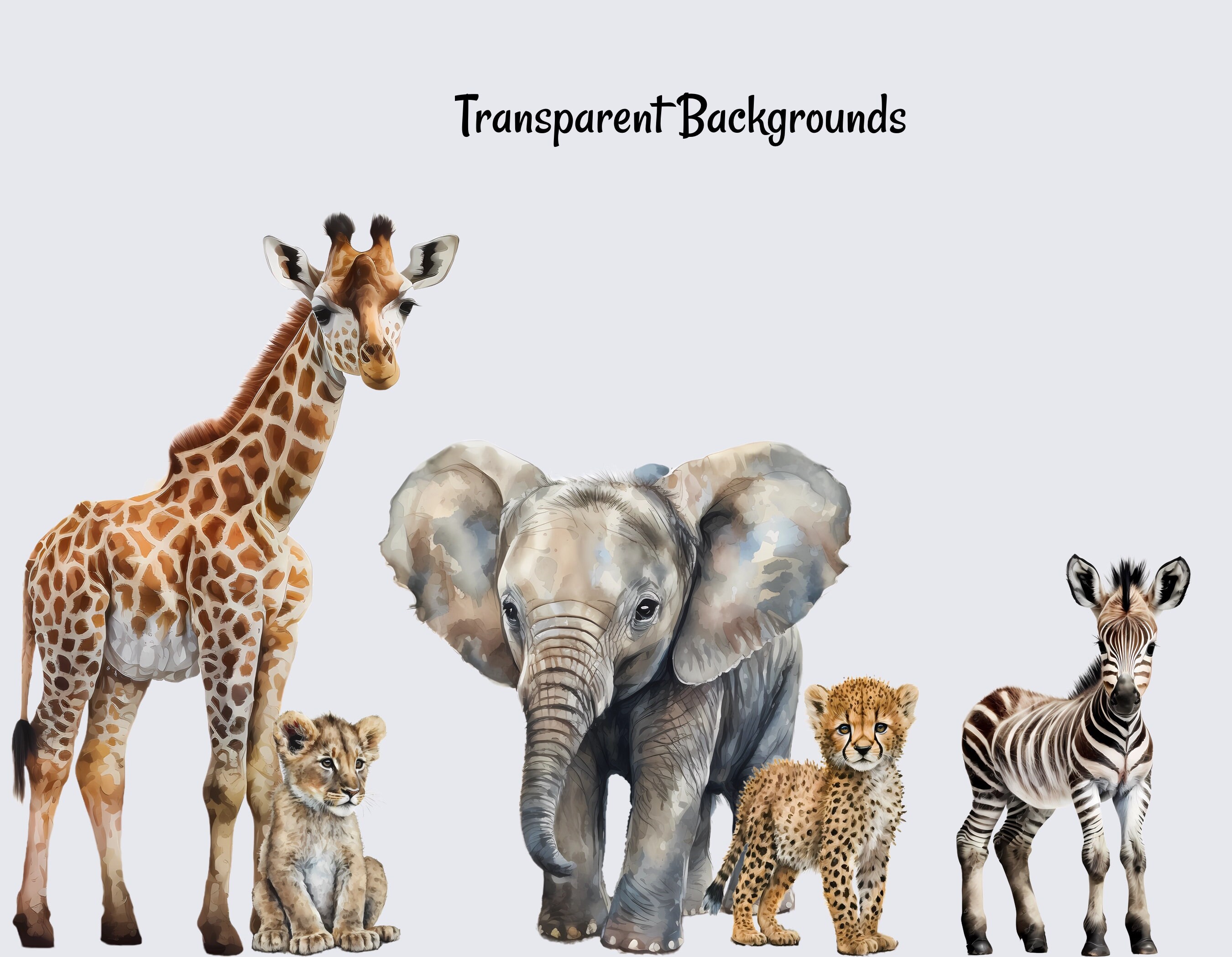 Baby Safari African Animals Clipart Digital Downloads 10 - Etsy