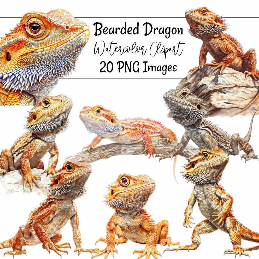 Bearded Dragon Clipart, Watercolor Reptile Digital Downloads Beardie ...