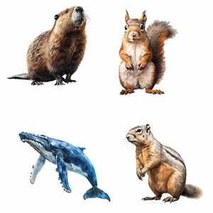 Alaska Wildlife Clipart Watercolor Digital Downloads Woodland North ...