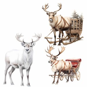 Reindeer Caribou Watercolor Clipart Digital Downloads, 18 Overlay ...