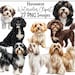 Bichon Frise Clipart. Original Design Download. Bichon Illustration ...