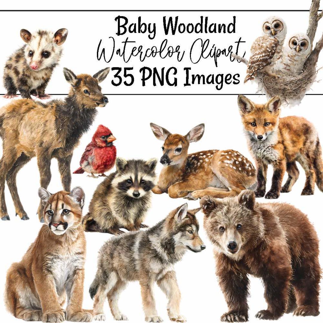Baby Woodland Clipart Animal Watercolor Illustration Forest Wildlife ...