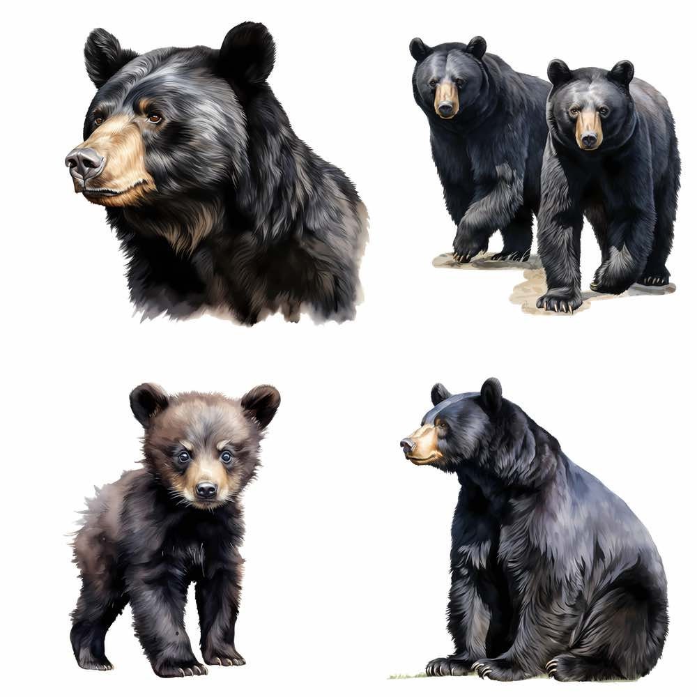 Black Bear Clipart Watercolor Digital Downloads American Black Bear ...