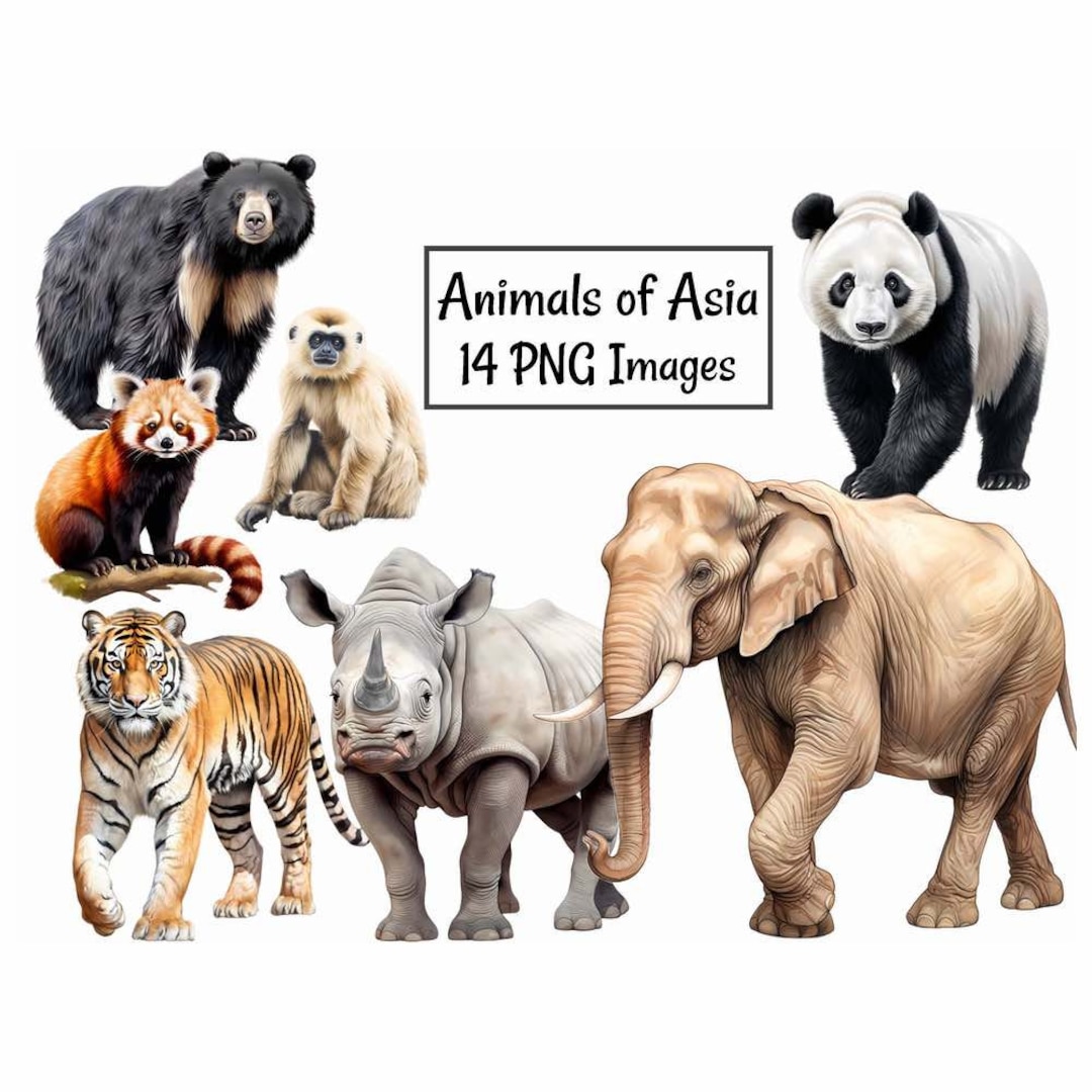 Asian Animals Wildlife Watercolor Clipart Digital Downloads - Etsy