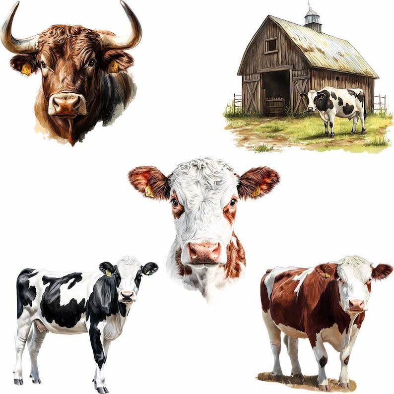Cattle Watercolor Clipart Set Cow Bull Heifer Steer Calf OX Animal ...