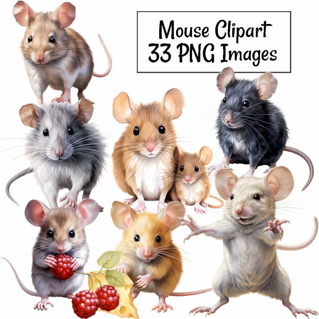 Mouse Clipart Watercolor Digital Downloads Mice Art Field Wild Pet ...