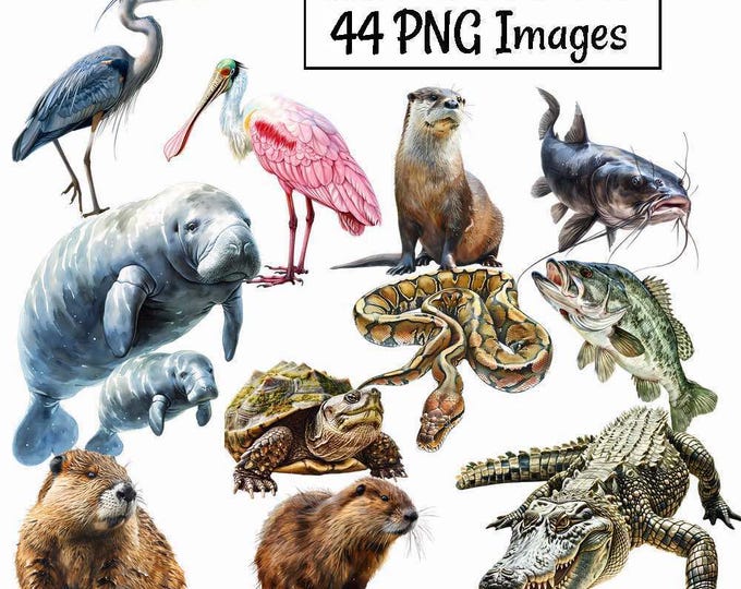 Watercolor Wetland Animals Clipart Bundle, Swamp Wildlife Clipart ...