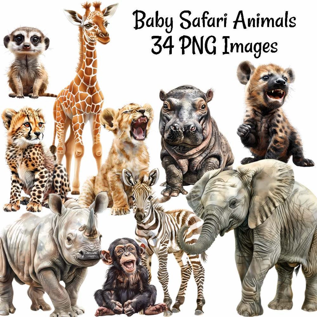 Baby Safari African Animals Clipart Digital Downloads Safari Animal ...