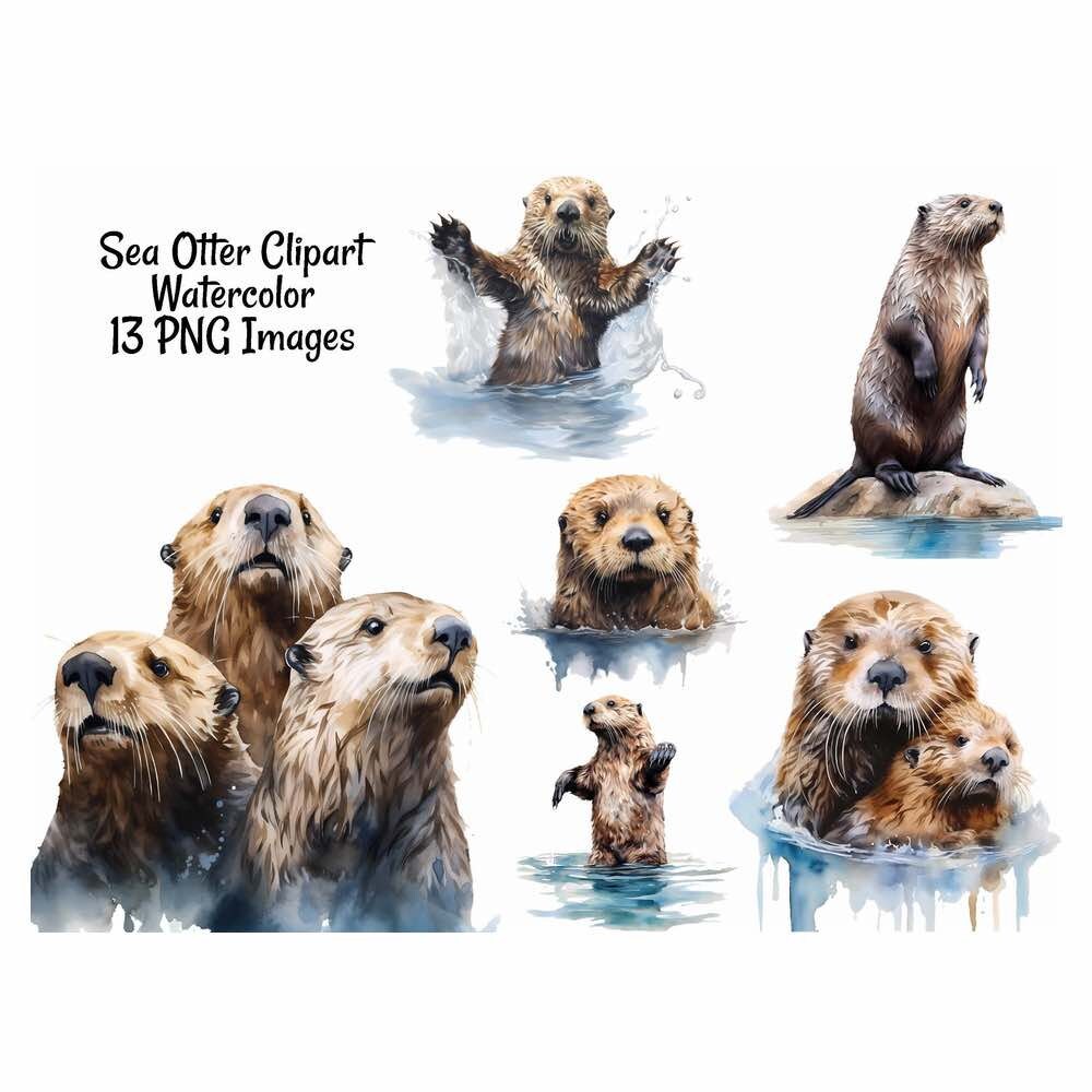 Sea Otter Wildlife Watercolor Clipart Transparent Background - Etsy