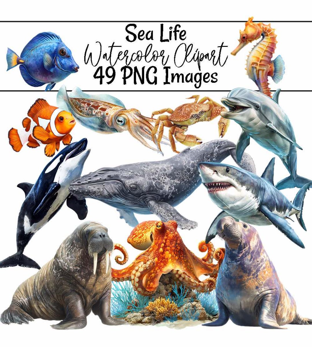 Sea Life Clipart Whale Digital Downloads Shark Art Animal Watercolor ...