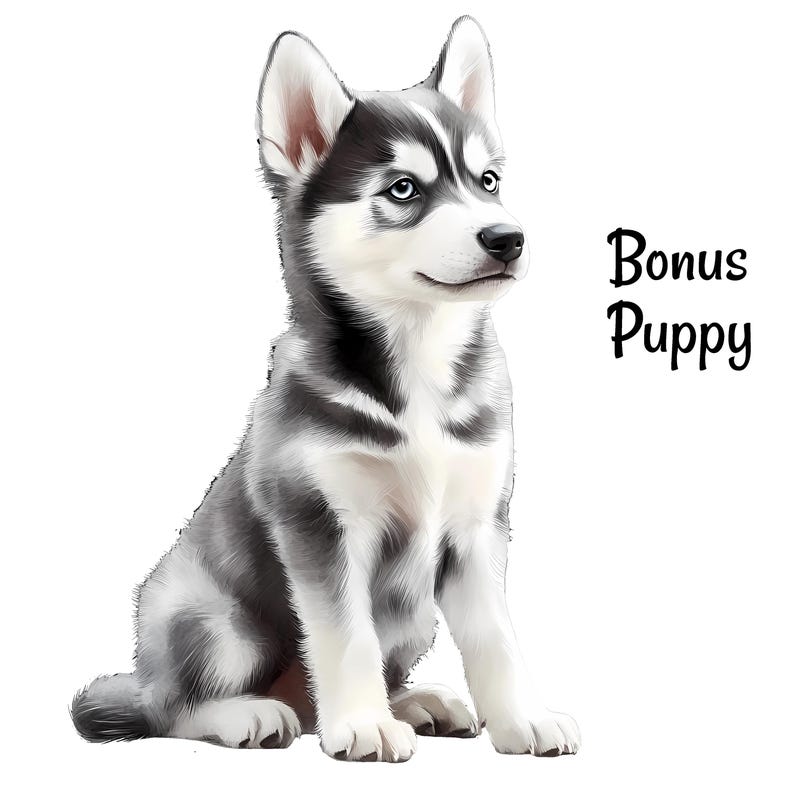 Siberian Husky Clipart Dog Breed Illustration Husky Sled Dog Digital ...