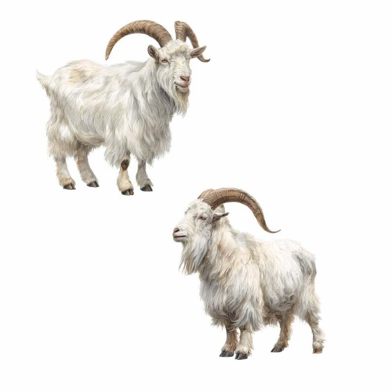 Goat Clipart, Farm Baby Goat Animal Watercolor Digital Downloads Cute ...