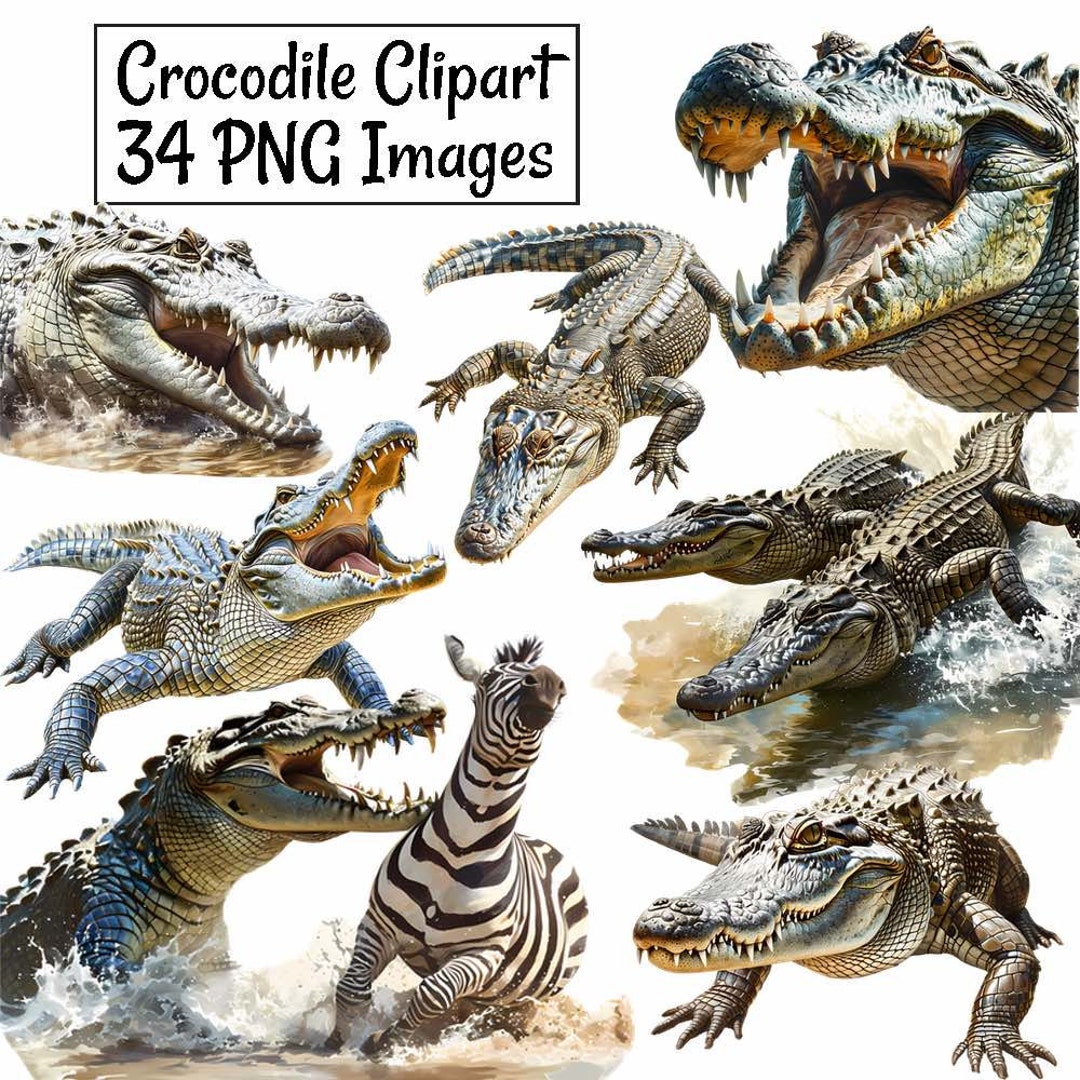 Crocodile Watercolor Clipart Digital Downloads, 34 Reptile Alligator ...