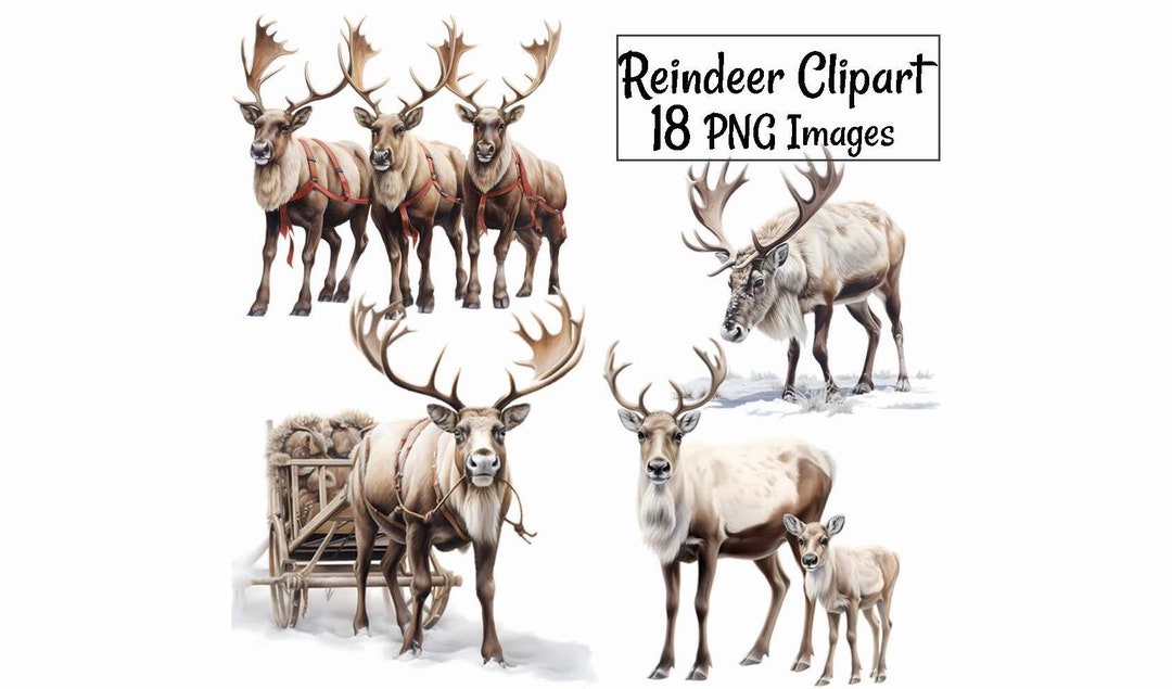 Reindeer Caribou Watercolor Clipart Digital Downloads, 18 Overlay ...