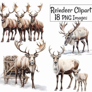 Reindeer Caribou Watercolor Clipart Digital Downloads, 18 Overlay ...