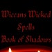 WICCAN’S Wicked Spell Book of Shadows! - Etsy