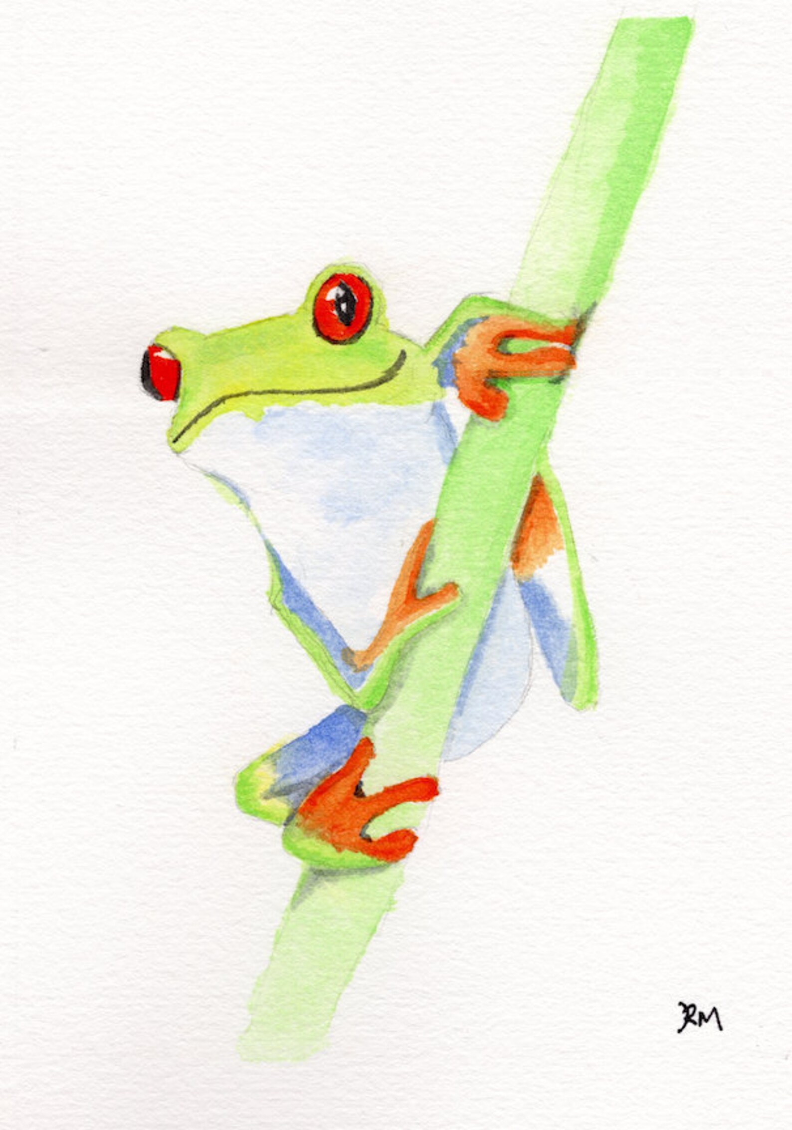 Watercolour A6 Greetings Cards- Bee, Frog, Gizmo and Sabine's Cat - Etsy
