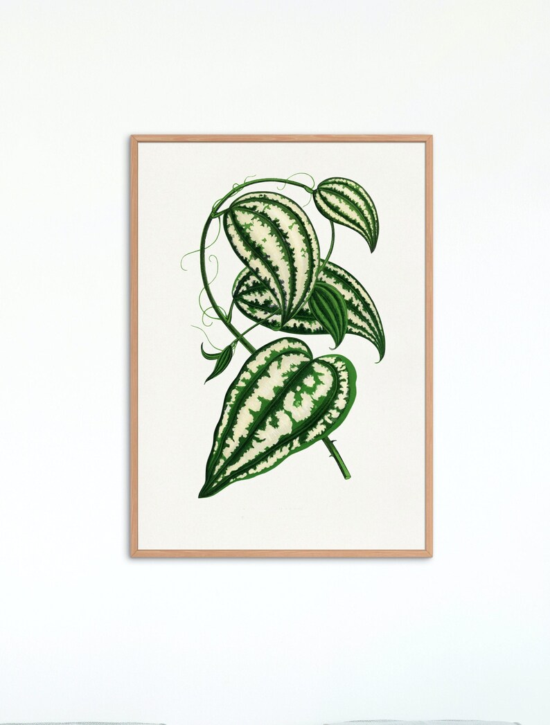 Digital Download, Botanical Wall Art, Leaf Print, Printable Plant Art ...