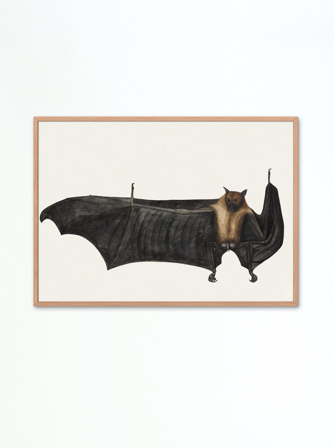 Digital Download, Printable, Bat Wall Art, Animal Print, Nature Art ...