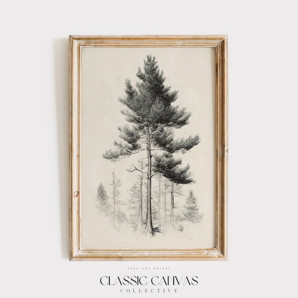 Pine Tree Print - Etsy