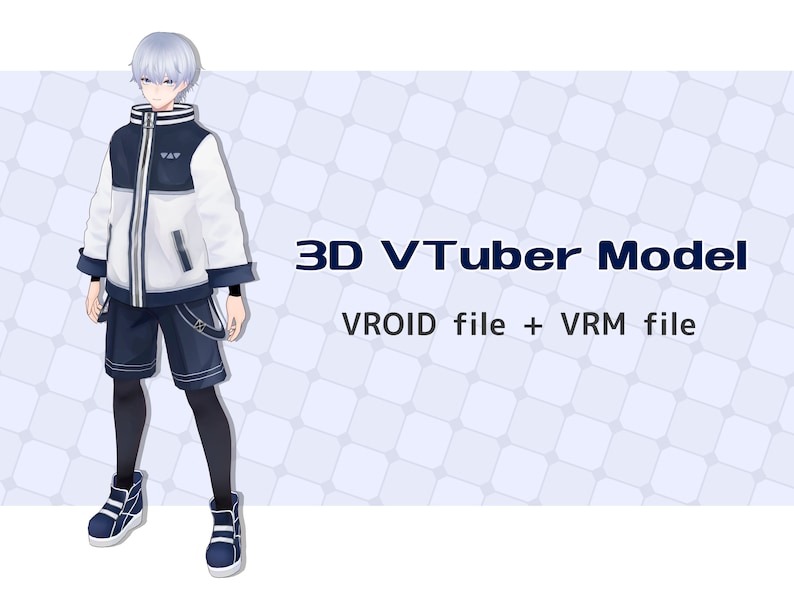 Gamer Boy Vtuber Model 3D | Vroid+vrm | Fully Rigged | Ready to Use - Etsy