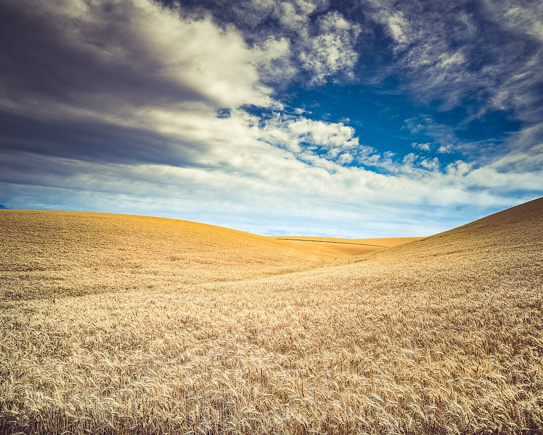 Rolling Fields - Etsy
