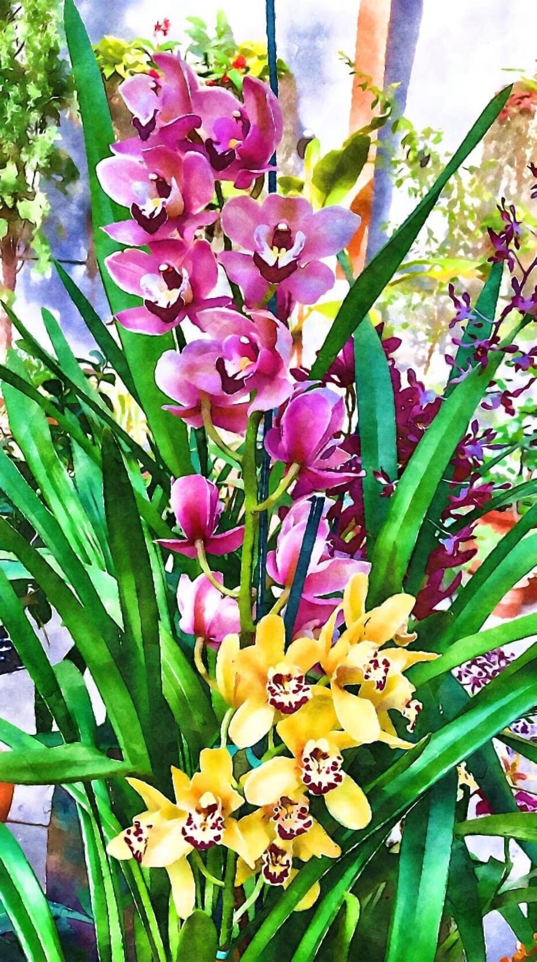 Multi Colors-orchids - Etsy