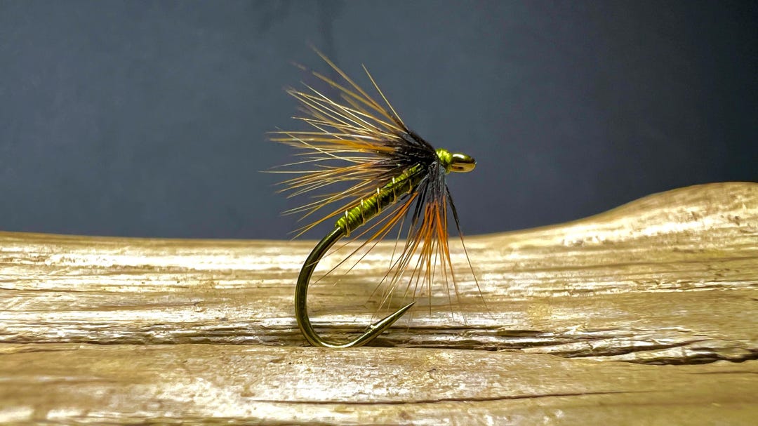Greenwell's North Country Spider - (3-pack) - Etsy