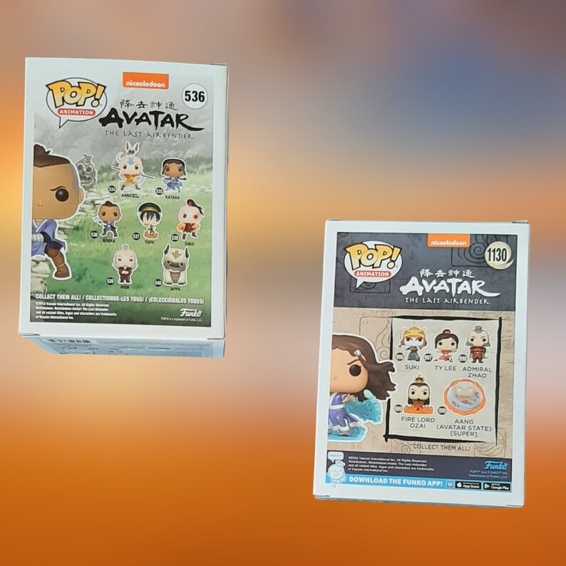 Funko Pop Avatar the Last Airbender Katara and Sokka unopened Boxes - Etsy