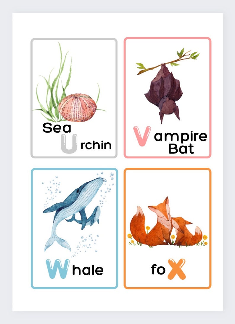 A for Alligator Alphabet Cards for Learning and Classroom Decor ...