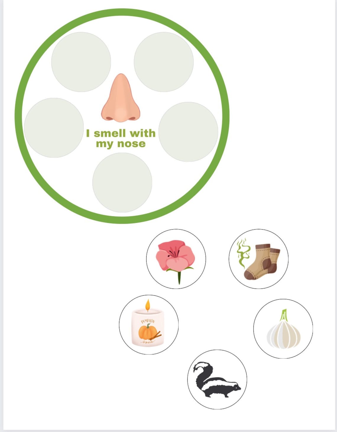 Learning My 5 Senses Game for Kids, Fun and Colorful Way to Teach Kids ...