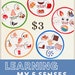 Learning My 5 Senses Game for Kids, Fun and Colorful Way to Teach Kids ...