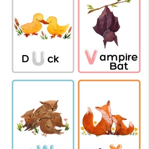 A for Alligator Alphabet Cards for Learning and Classroom Decor ...