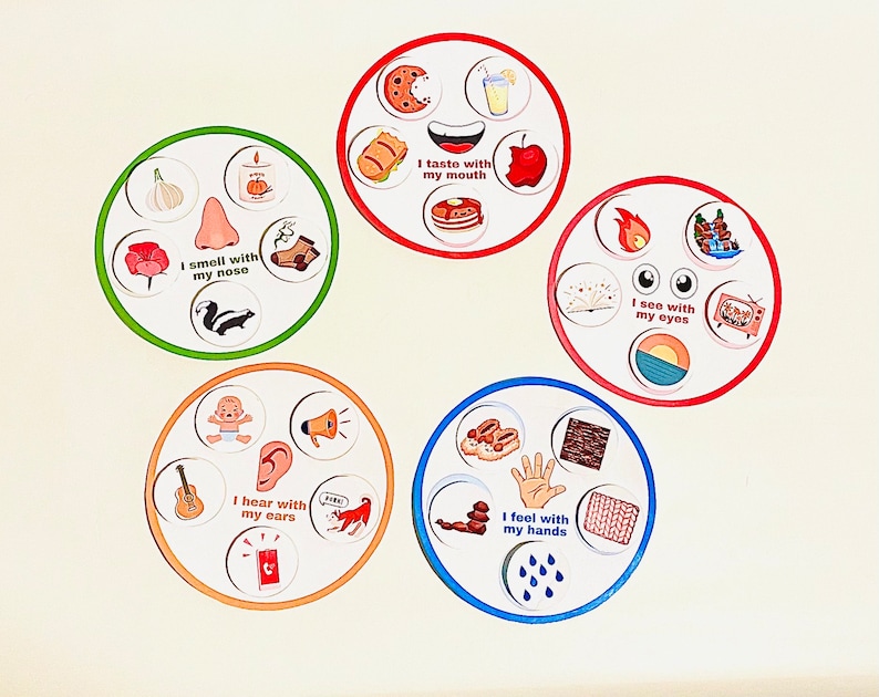 Learning My 5 Senses Game for Kids, Fun and Colorful Way to Teach Kids ...