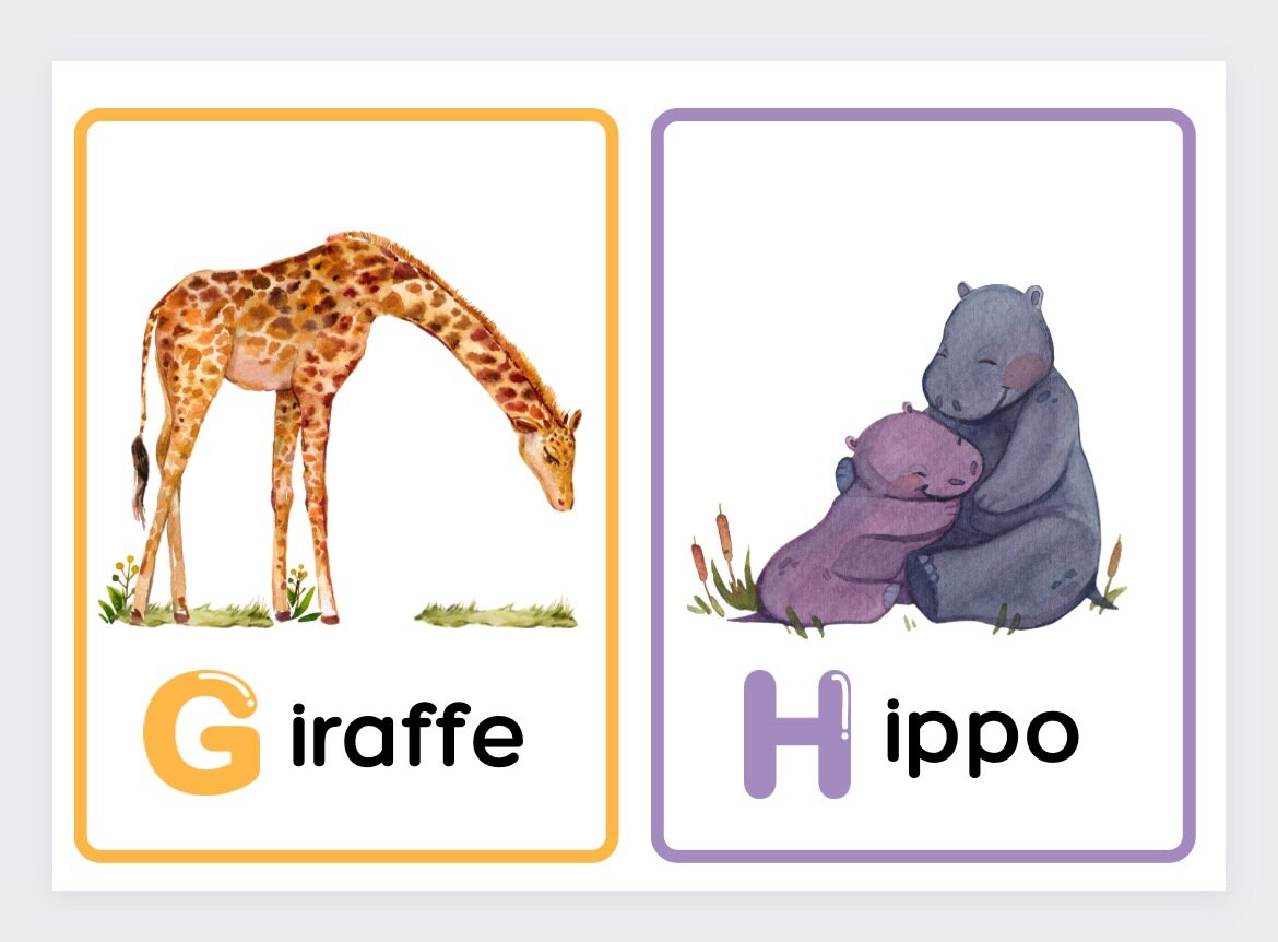 A for Alligator Alphabet Cards for Learning and Classroom Decor ...