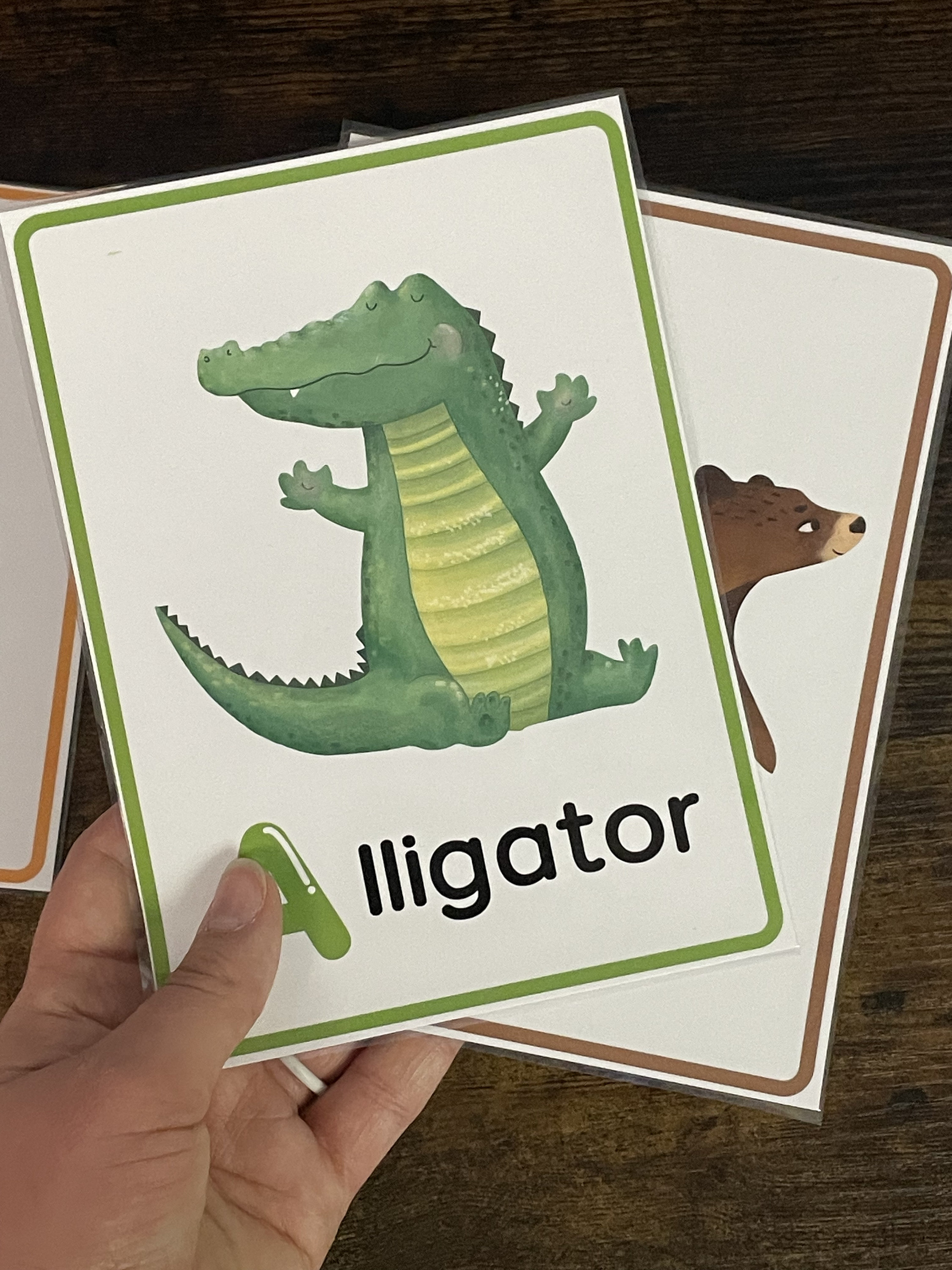 A for Alligator Alphabet Cards for Learning and Classroom Decor ...