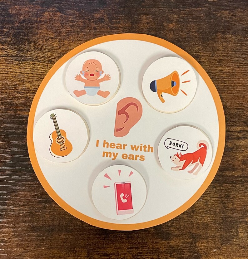 Learning My 5 Senses Game for Kids, Fun and Colorful Way to Teach Kids ...