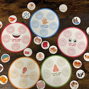 Learning My 5 Senses Game for Kids, Fun and Colorful Way to Teach Kids ...