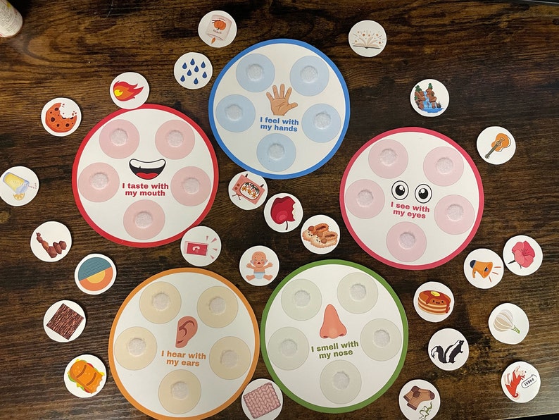 Learning My 5 Senses Game for Kids, Fun and Colorful Way to Teach Kids ...