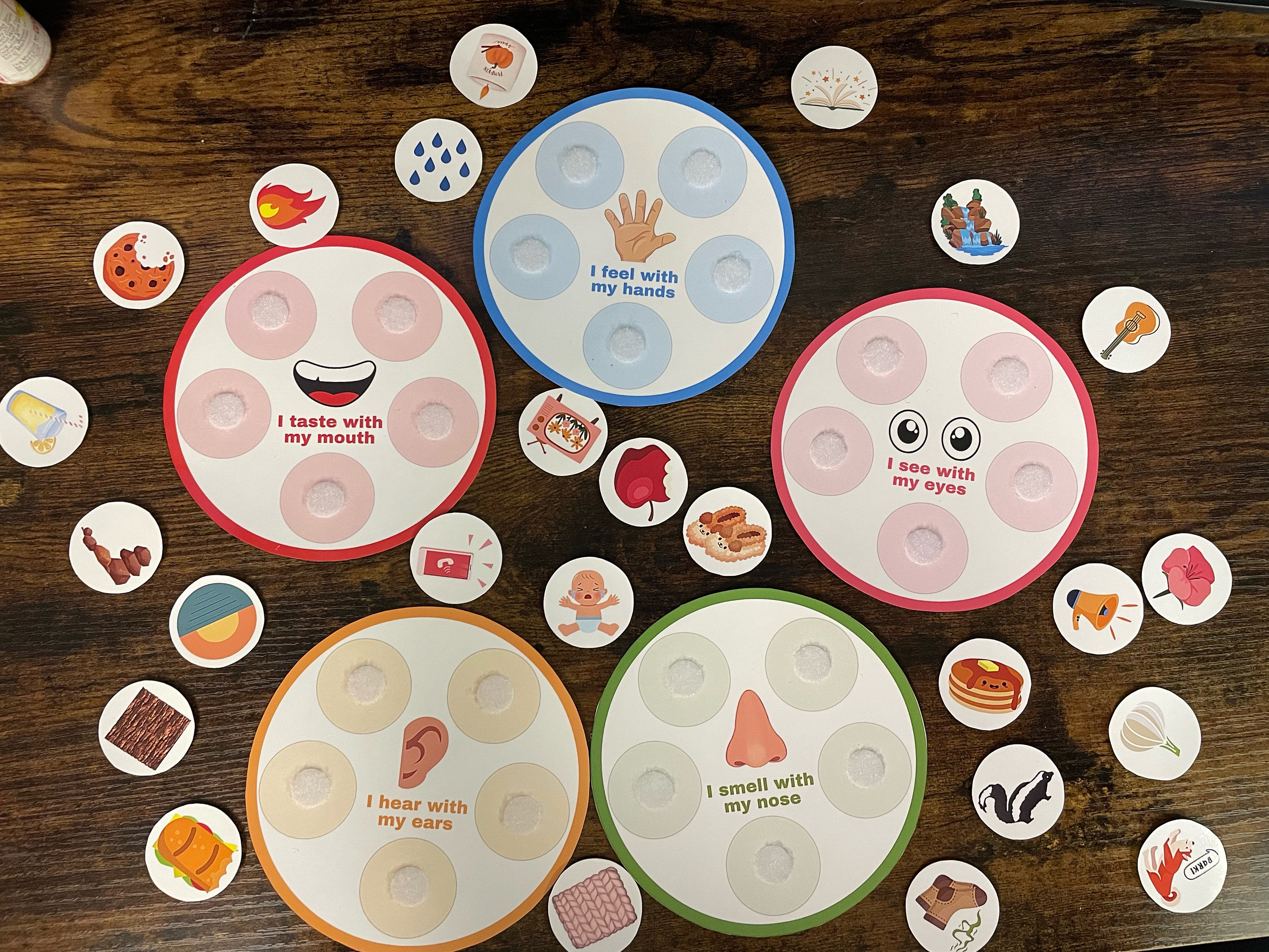 Learning My 5 Senses Game for Kids, Fun and Colorful Way to Teach Kids ...