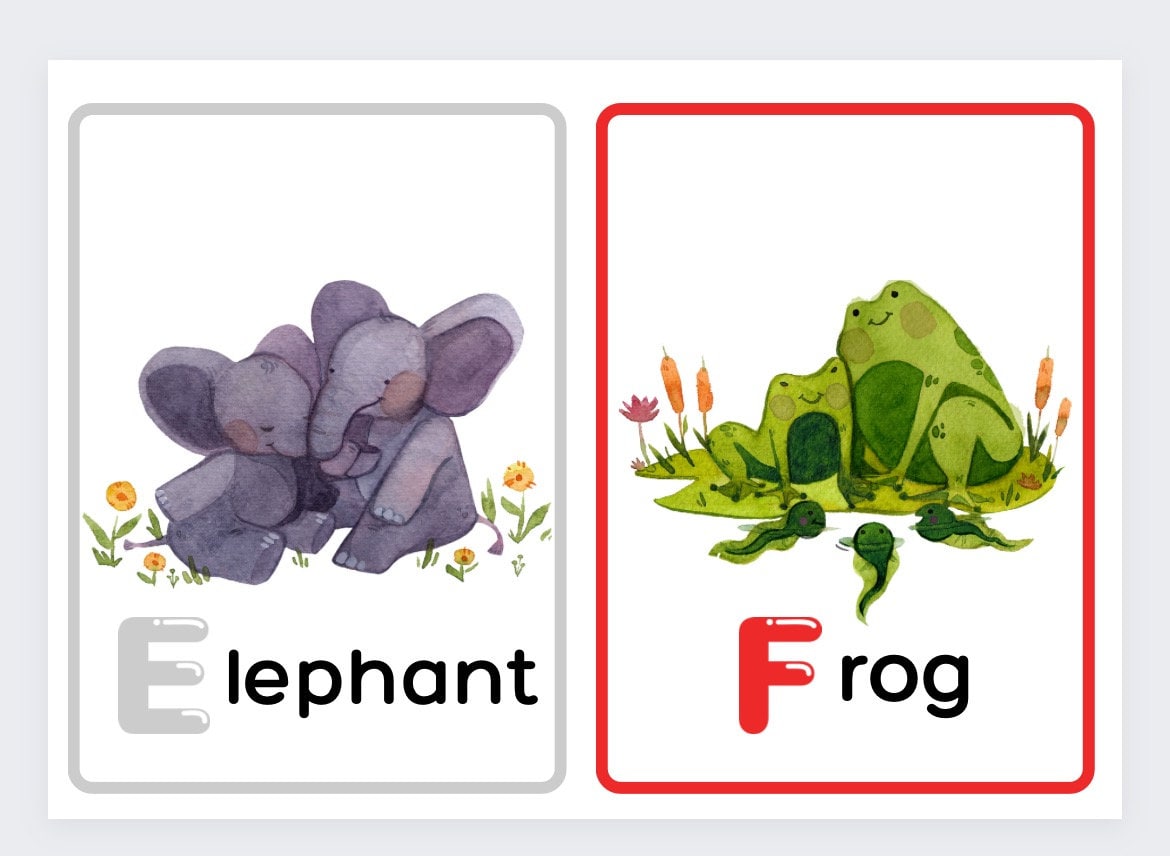 A for Alligator Alphabet Cards for Learning and Classroom Decor ...