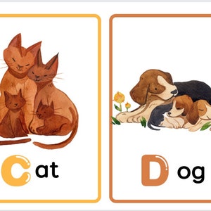 A for Alligator Alphabet Cards for Learning and Classroom Decor ...