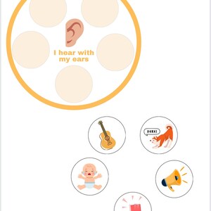 Learning My 5 Senses Game for Kids, Fun and Colorful Way to Teach Kids ...
