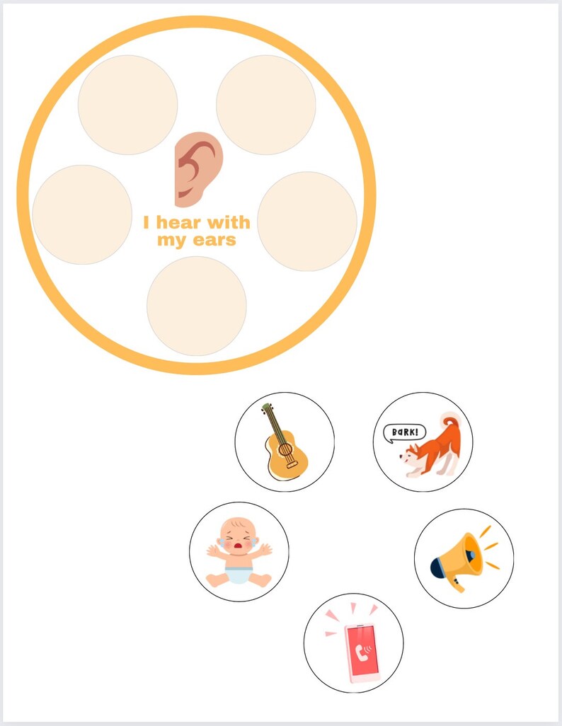 Learning My 5 Senses Game for Kids, Fun and Colorful Way to Teach Kids ...