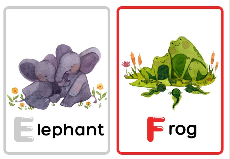 A for Alligator Alphabet Cards for Learning and Classroom Decor ...