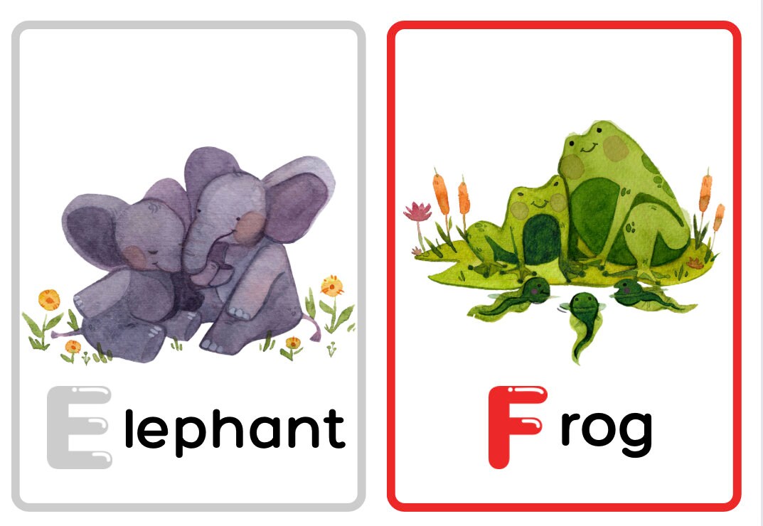 A for Alligator Alphabet Cards for Learning and Classroom Decor ...