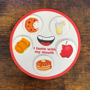 Learning My 5 Senses Game for Kids, Fun and Colorful Way to Teach Kids ...