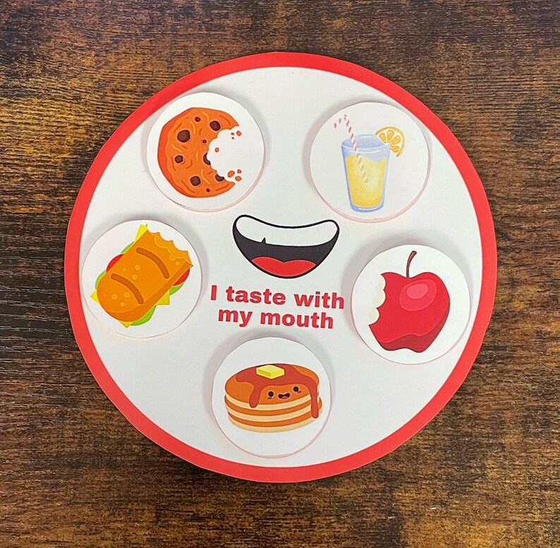 Learning My 5 Senses Game for Kids, Fun and Colorful Way to Teach Kids ...