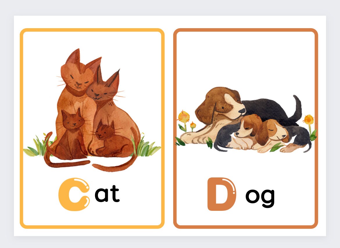 A for Alligator Alphabet Cards for Learning and Classroom Decor ...