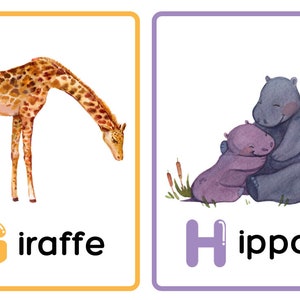 A for Alligator Alphabet Cards for Learning and Classroom Decor ...